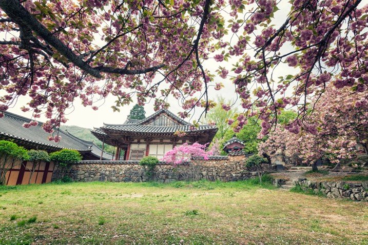 5 ideias de fotografia de primavera para inspirar você - Annphoto